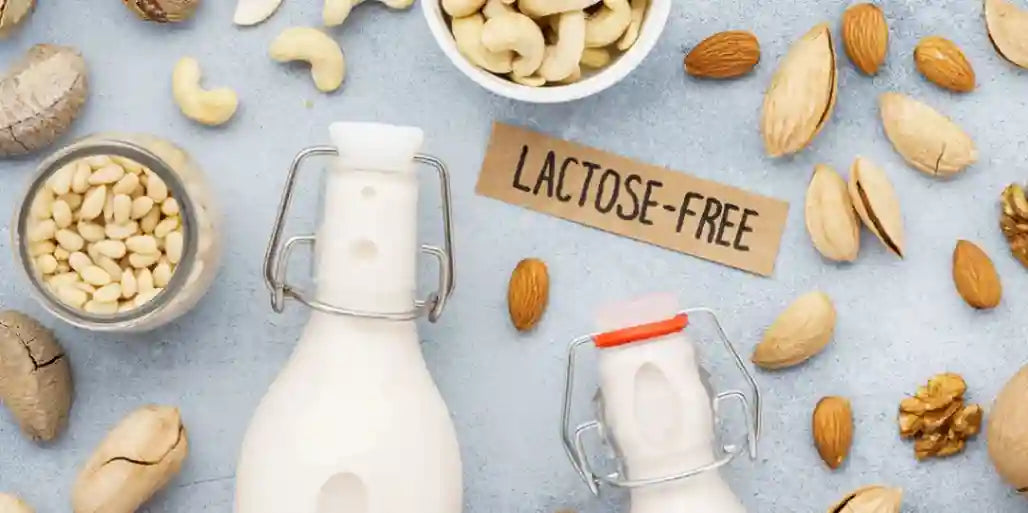 Milk Depot Milk Maker | Create Healthy Milk at home in 60 Seconds ...